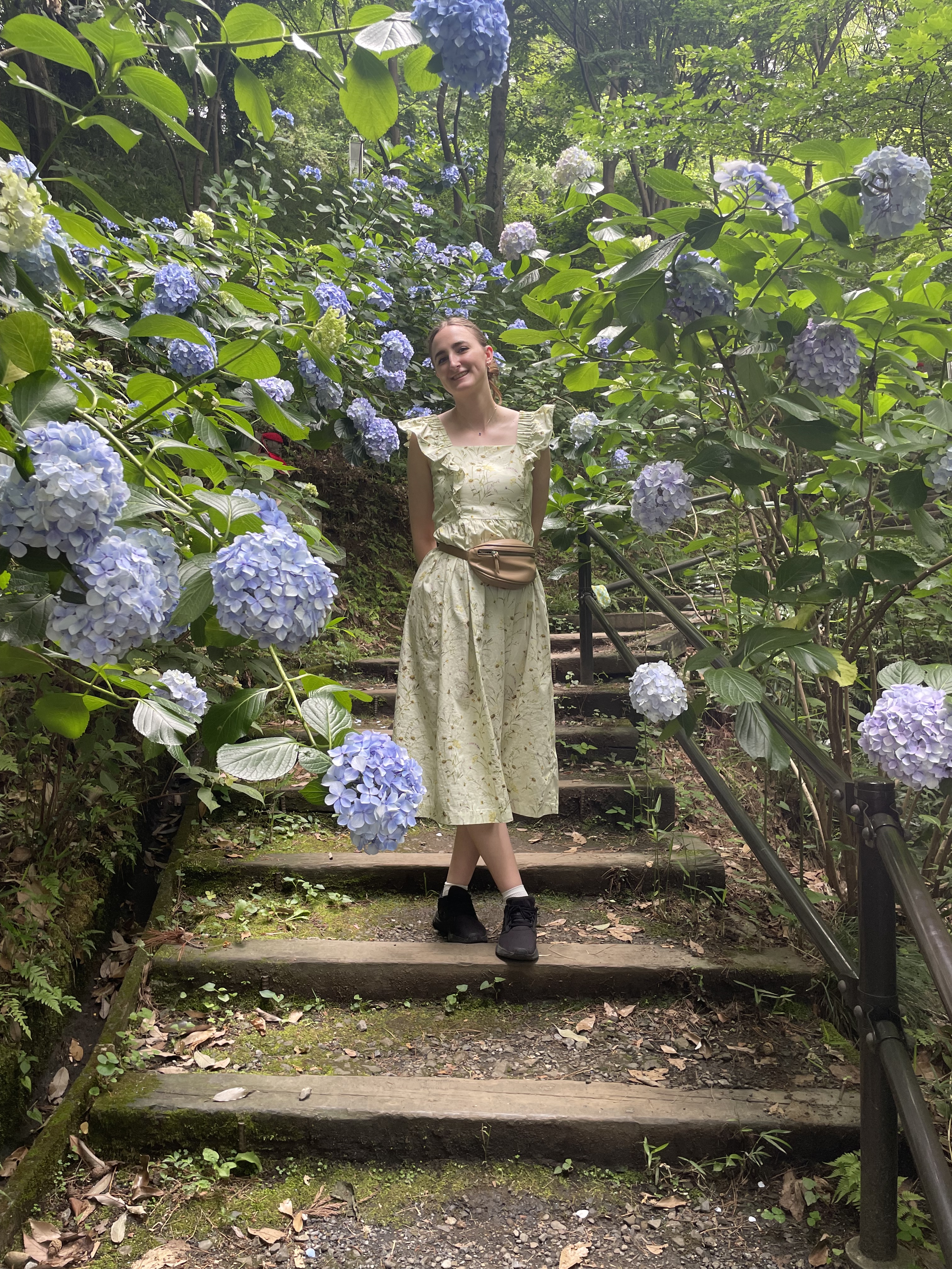 Where to See Hydrangeas in and around Tokyo – Gone Travelling Productions