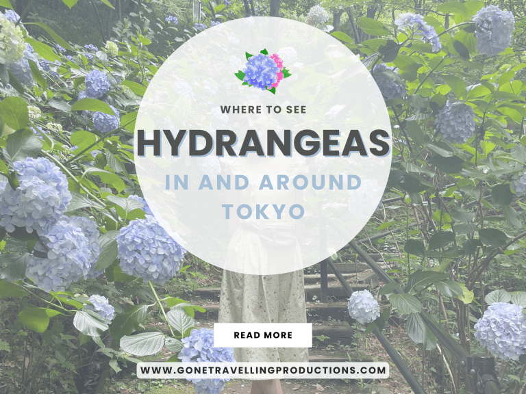 Where to See Hydrangeas in and around Tokyo – Gone Travelling Productions